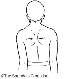 9 General Strengthening Exercises - Sheltering Arms Institute